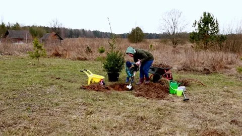 Tree planting activity with children in ... | Stock Video | Pond5