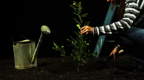 Tree Planting Hd Stock Videos – Royalty-Free HD & 4K Videos