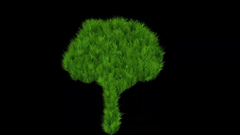 Tree shape with green grass effect on pl... | Stock Video | Pond5