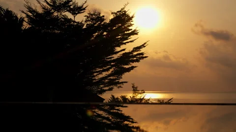 Tree Silhouette And Infinity Pool At Sun... | Stock Video | Pond5