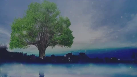 Tree with sky, Mother Nature animated Ar... | Stock Video | Pond5