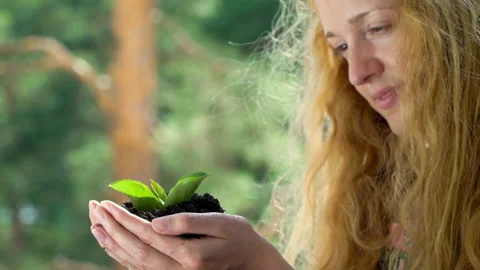 Tree sprout growing from human hands on ... | Stock Video | Pond5