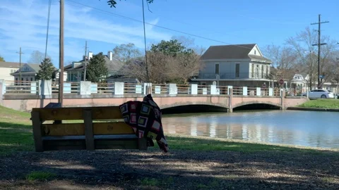 Tree Swing St Stock Videos – Royalty-Free HD & 4K Videos