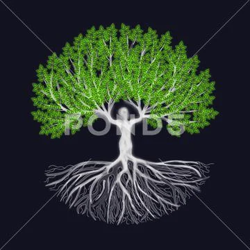 Body PSD Templates ~ Photoshop Body Templates | Pond5