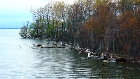 Tree trunks floating in the water at the... | Stock Video | Pond5