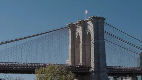 Brooklyn Blows Stock Videos – Royalty-Free HD & 4K Videos | Pond5