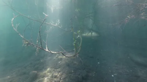 Underwater Lake Bottom Stock Video Footage | Royalty Free Underwater ...