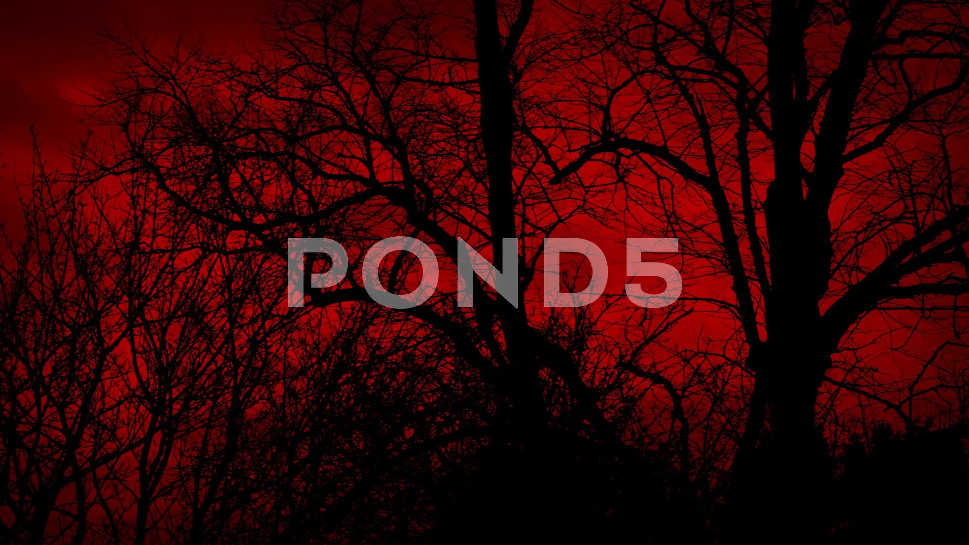 Creepy Red Forest Wallpaper