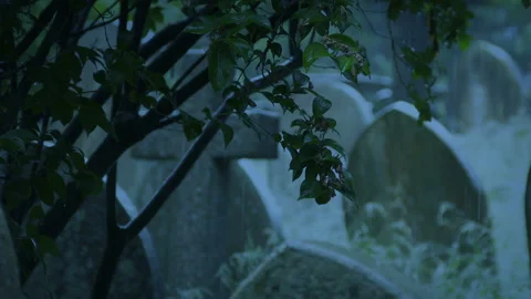 Graveyard Rain Stock Footage ~ Royalty Free Stock Videos | Pond5