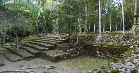 Trees growing over the Mayan ruins at Ch... | Stock Video | Pond5