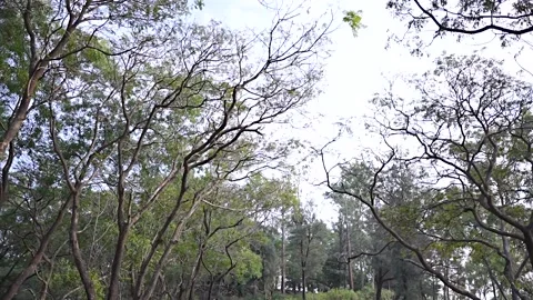 Less Moving Stock Videos – Royalty-Free HD & 4K Videos