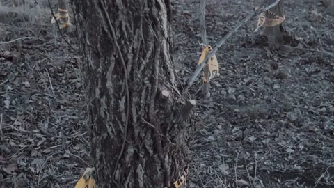 On Off Toxic Stock Videos – Royalty-Free HD & 4K Videos