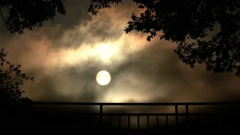 Trees Railing Silhouette Nature Outdoors... | Stock Video | Pond5