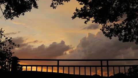 Trees Railing Silhouette Nature Outdoors... | Stock Video | Pond5