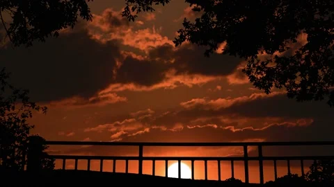 Trees Railing Silhouette Nature Outdoors... | Stock Video | Pond5