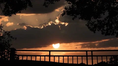 Trees Railing Silhouette Nature Outdoors... | Stock Video | Pond5