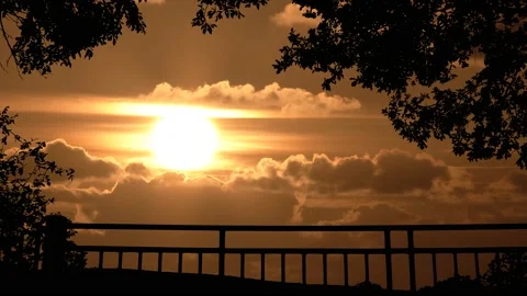 Trees Railing Silhouette Nature Outdoors... | Stock Video | Pond5