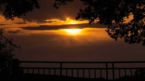 Trees Railing Silhouette Nature Outdoors... | Stock Video | Pond5