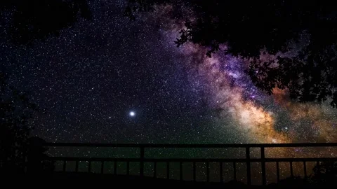 Trees Railing Silhouette Nature Outdoors... | Stock Video | Pond5
