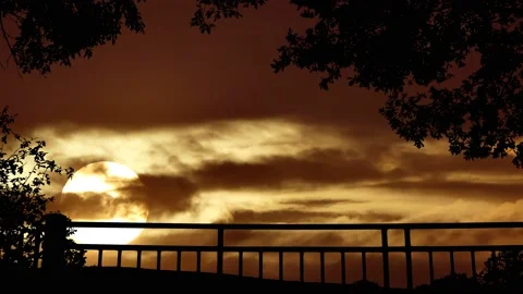 Trees Railing Silhouette Nature Outdoors... | Stock Video | Pond5