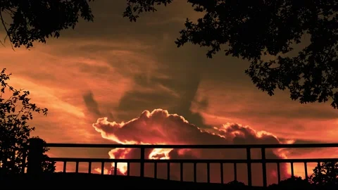 Trees Railing Silhouette Nature Outdoors... | Stock Video | Pond5