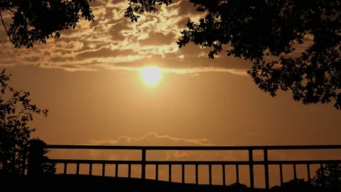 Trees Railing Silhouette Nature Outdoors... | Stock Video | Pond5
