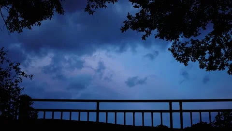Trees Railing Silhouette Nature Outdoors... | Stock Video | Pond5