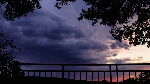 Trees Railing Silhouette Nature Outdoors... | Stock Video | Pond5