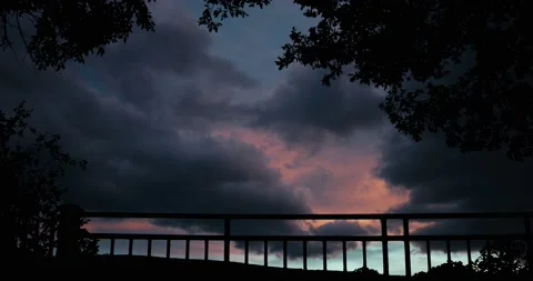 Trees Railing Silhouette Nature Outdoors... | Stock Video | Pond5