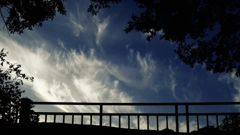 Trees Railing Silhouette Nature Outdoors... | Stock Video | Pond5