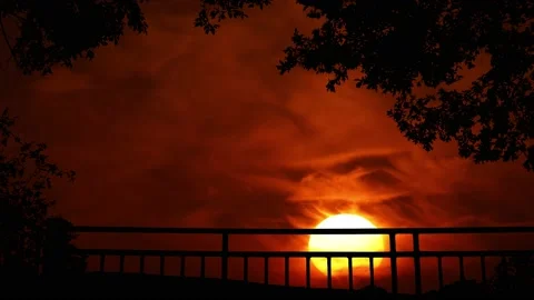 Trees Railing Silhouette Nature Outdoors... | Stock Video | Pond5