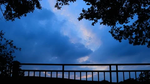 Trees Railing Silhouette Nature Outdoors... | Stock Video | Pond5