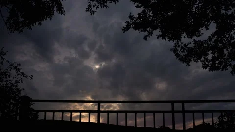 Trees Railing Silhouette Nature Outdoors... | Stock Video | Pond5