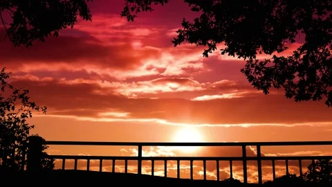 Trees Railing Silhouette Nature Outdoors... | Stock Video | Pond5