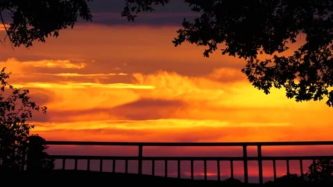 Trees Railing Silhouette Nature Outdoors... | Stock Video | Pond5