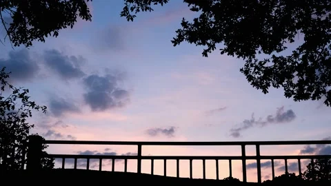 Trees Railing Silhouette Nature Outdoors... | Stock Video | Pond5