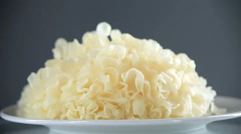 tremella, Snow Ear Fungus | Stock Video | Pond5