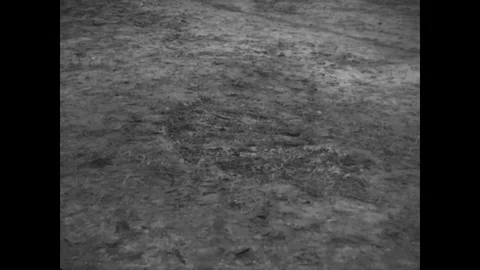 Wwi Trench Stock Videos – Royalty-Free HD & 4K Videos