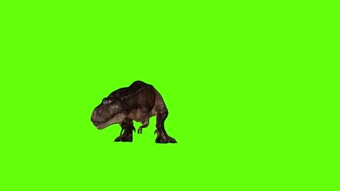 T Rex Green Screen Stock Footage ~ Royalty Free Stock Videos | Pond5
