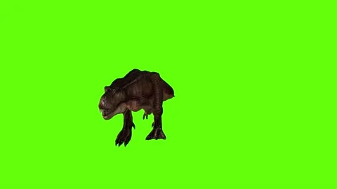 T Rex Green Screen Stock Footage ~ Royalty Free Stock Videos | Pond5