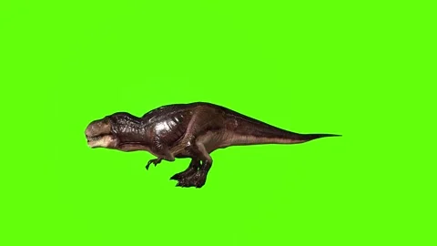 T.rex Bite green screen animation 3D ren... | Stock Video | Pond5