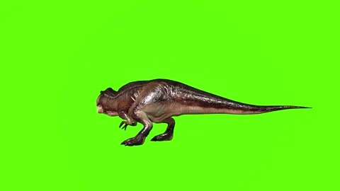 T.rex Bite green screen animation 3D ren... | Stock Video | Pond5