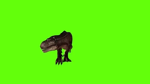 T.rex dinosaur chase right bite green s... | Stock Video | Pond5