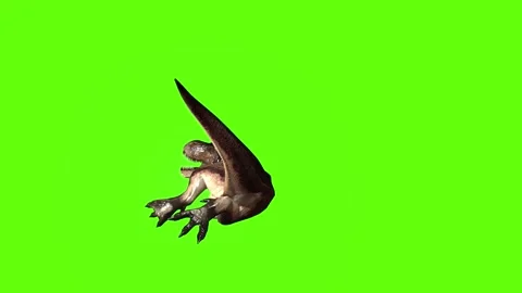 T.rex dinosaur death green screen animat... | Stock Video | Pond5