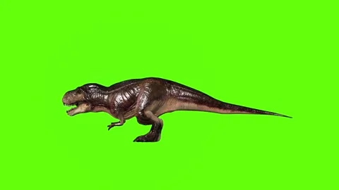 T.rex dinosaur death long green screen a... | Stock Video | Pond5