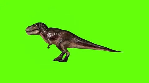 T.rex dinosaur idle investigation green ... | Stock Video | Pond5