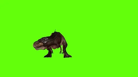 T.rex dinosaur look right green screen ... | Stock Video | Pond5