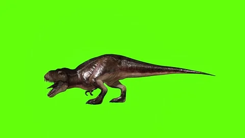 T.rex dinosaur roar left green screen an... | Stock Video | Pond5