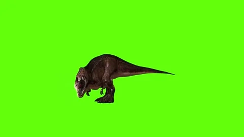 T.rex dinosaur roar left green screen a... | Stock Video | Pond5