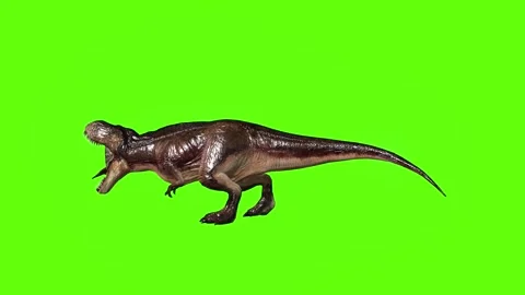 T.rex dinosaur roar step forward green s... | Stock Video | Pond5